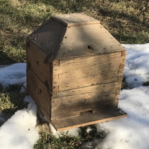 Vcelarstvo, chov vciel, vyroba medu - vcelar Martin z Kosic